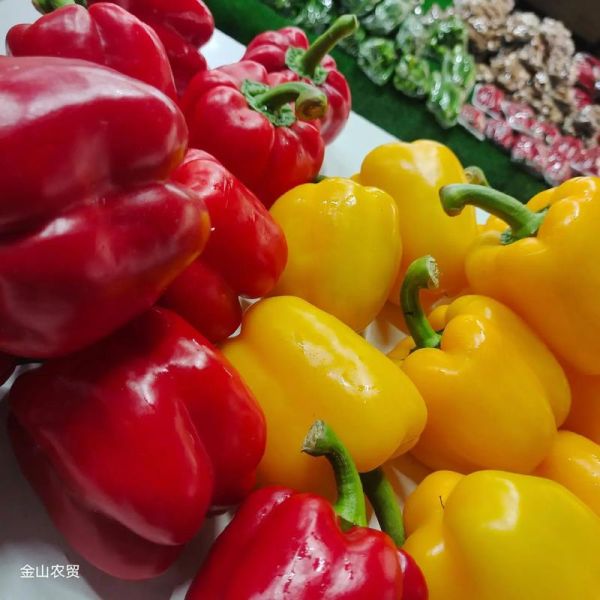 甜椒怎么保存_甜椒可以放多久-第3张图片-山城妙识 甜椒怎么保存_甜椒可以放多久-第3张图片-山城妙识