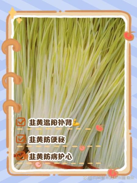 韭黄的功效与作用_韭黄的害处有哪些-第1张图片-山城妙识