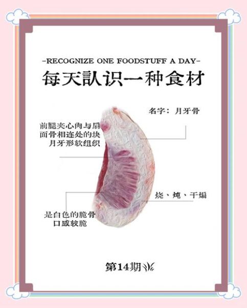 月牙骨的营养价值_月牙骨的功效与作用-第1张图片-山城妙识 月牙骨的营养价值_月牙骨的功效与作用-第1张图片-山城妙识