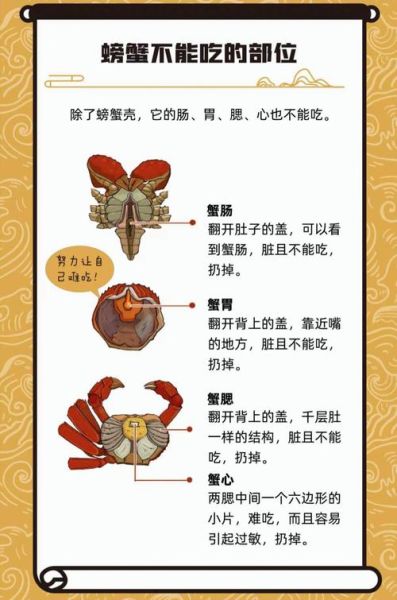 螃蟹哪些部位不能吃_蟹腮蟹胃蟹心在哪-第3张图片-山城妙识 螃蟹哪些部位不能吃_蟹腮蟹胃蟹心在哪-第3张图片-山城妙识