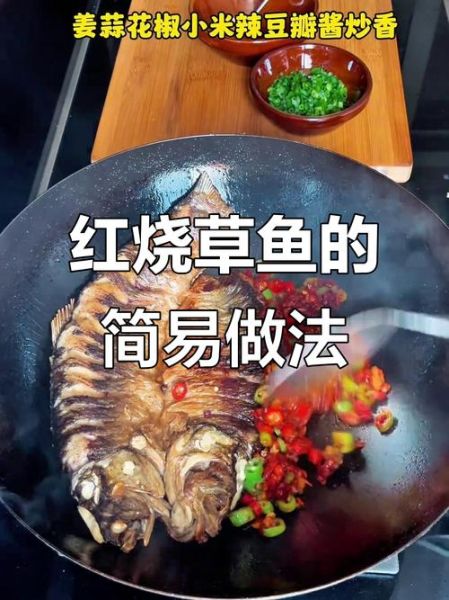 红烧草鱼怎么做_王刚视频教程-第3张图片-山城妙识
