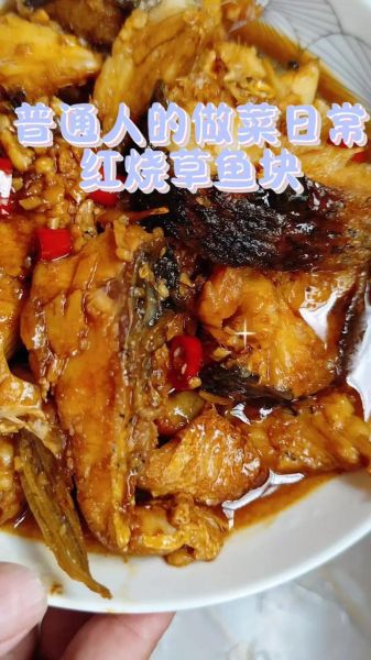 红烧草鱼怎么做_王刚视频教程-第2张图片-山城妙识