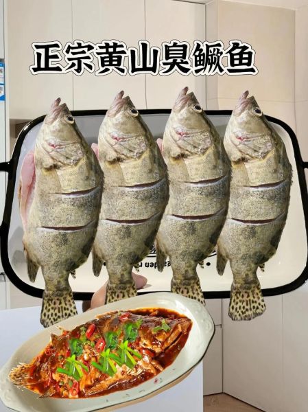 臭鳜鱼腌制方法有几种_正宗臭鳜鱼腌制步骤-第3张图片-山城妙识 臭鳜鱼腌制方法有几种_正宗臭鳜鱼腌制步骤-第3张图片-山城妙识