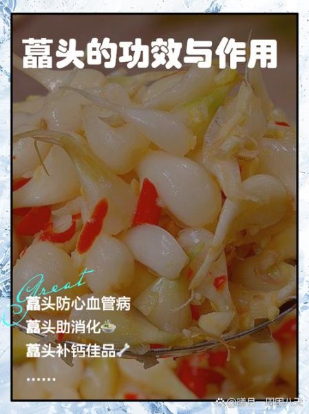 藠头的功效与作用及禁忌_什么人不能吃藠头-第1张图片-山城妙识