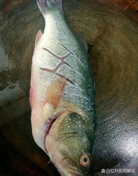 蒸鱼豉油怎么做清蒸鱼_清蒸鱼用蒸鱼豉油还是生抽-第1张图片-山城妙识