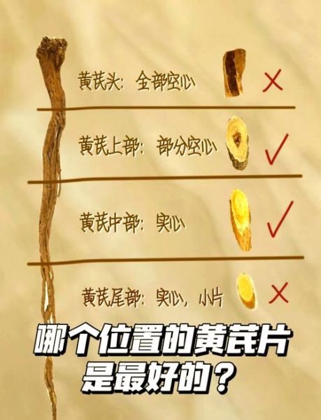 黄芪图片大全高清图片_如何辨别真假黄芪-第2张图片-山城妙识
