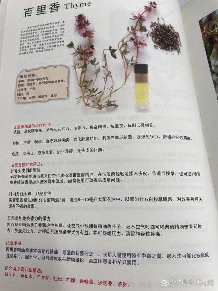 百里香图片_百里香功效与作用-第2张图片-山城妙识