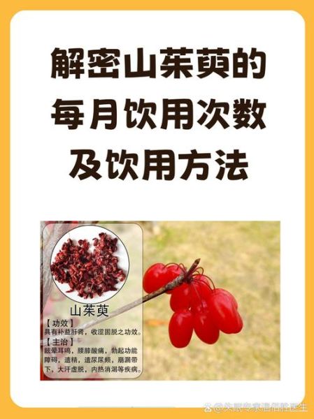 茱萸的功效与作用_茱萸怎么吃效果最好-第2张图片-山城妙识 茱萸的功效与作用_茱萸怎么吃效果最好-第2张图片-山城妙识