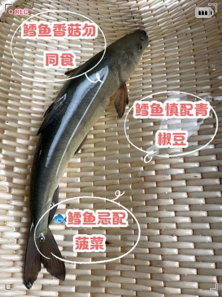 鳕鱼不能和什么一起吃_鳕鱼相克食物有哪些-第3张图片-山城妙识 鳕鱼不能和什么一起吃_鳕鱼相克食物有哪些-第3张图片-山城妙识