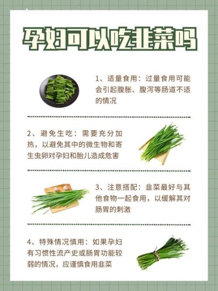 韭菜的功效与作用_韭菜有什么功效与作用-第1张图片-山城妙识