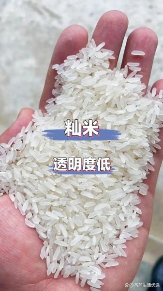 粳米和大米有什么区别_粳米是不是大米-第3张图片-山城妙识