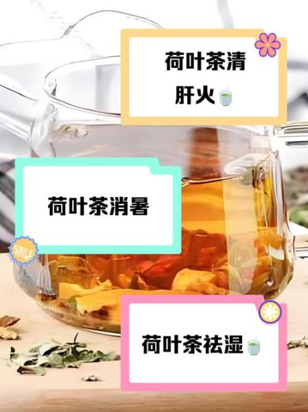 荷叶茶能减肥吗_荷叶茶有什么功效和作用-第3张图片-山城妙识 荷叶茶能减肥吗_荷叶茶有什么功效和作用-第3张图片-山城妙识