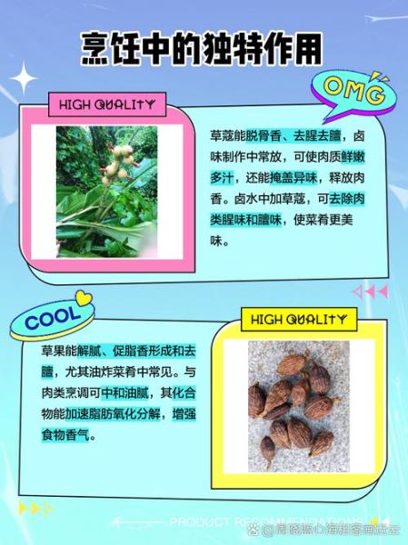 草寇和肉蔻的区别_草寇和肉蔻哪个更香-第3张图片-山城妙识 草寇和肉蔻的区别_草寇和肉蔻哪个更香-第3张图片-山城妙识