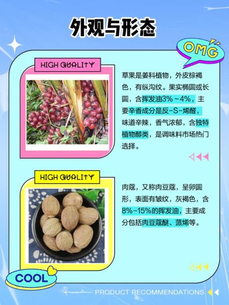 草寇和肉蔻的区别_草寇和肉蔻哪个更香-第1张图片-山城妙识 草寇和肉蔻的区别_草寇和肉蔻哪个更香-第1张图片-山城妙识