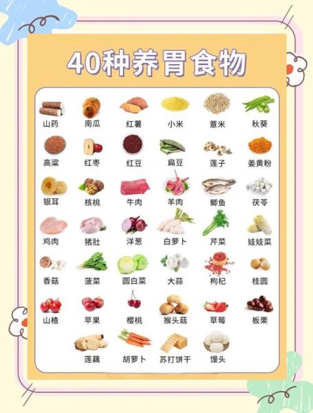 养胃的食品有哪些_胃不好吃什么食物最好-第1张图片-山城妙识 养胃的食品有哪些_胃不好吃什么食物最好-第1张图片-山城妙识