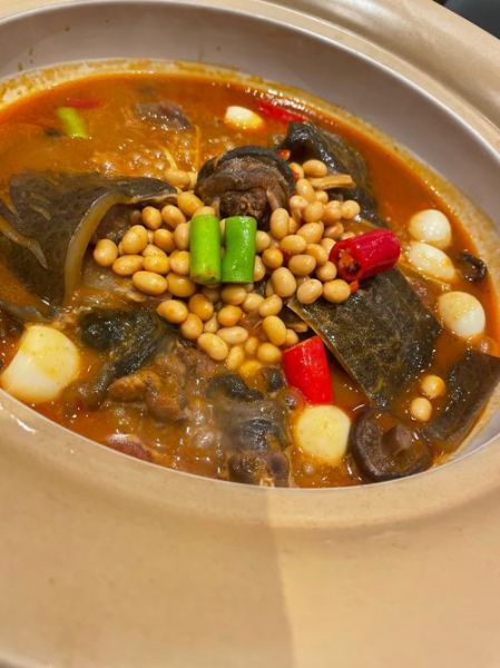 红烧甲鱼怎么做_红烧甲鱼的家常做法-第1张图片-山城妙识 红烧甲鱼怎么做_红烧甲鱼的家常做法-第1张图片-山城妙识