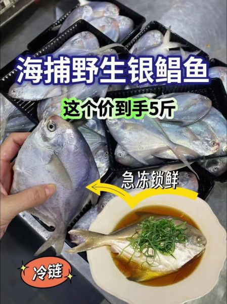 白鲳鱼多少钱一斤_白鲳鱼价格行情-第2张图片-山城妙识 白鲳鱼多少钱一斤_白鲳鱼价格行情-第2张图片-山城妙识