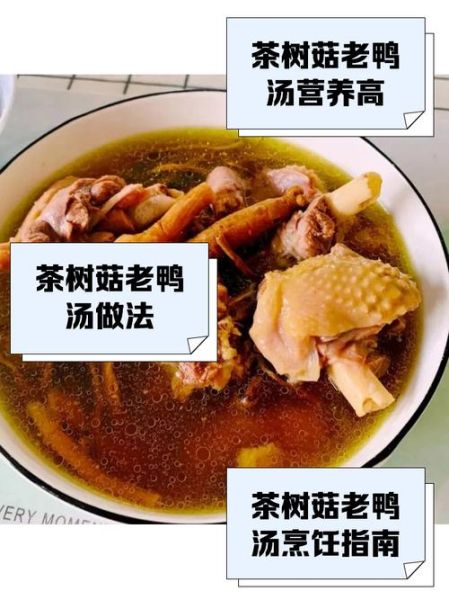 茶树菇老鸭汤怎么做_正宗做法步骤-第1张图片-山城妙识 茶树菇老鸭汤怎么做_正宗做法步骤-第1张图片-山城妙识