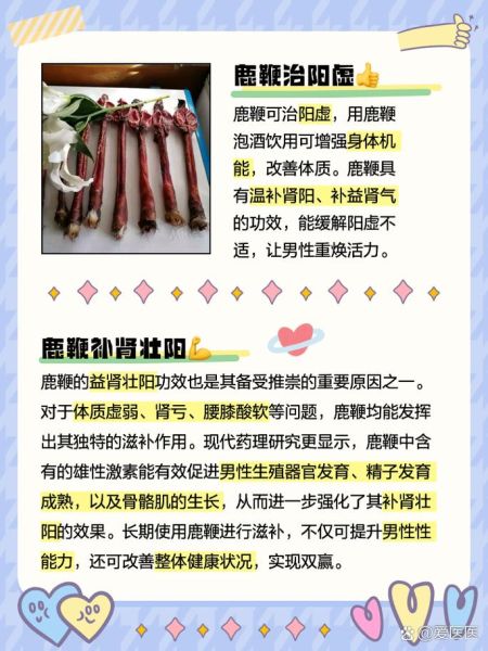 鹿鞭的功效与作用吃法_鹿鞭怎么吃效果最好-第1张图片-山城妙识 鹿鞭的功效与作用吃法_鹿鞭怎么吃效果最好-第1张图片-山城妙识