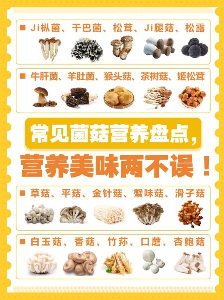 食用菌菌种怎么选_食用菌菌种有哪些-第2张图片-山城妙识 食用菌菌种怎么选_食用菌菌种有哪些-第2张图片-山城妙识