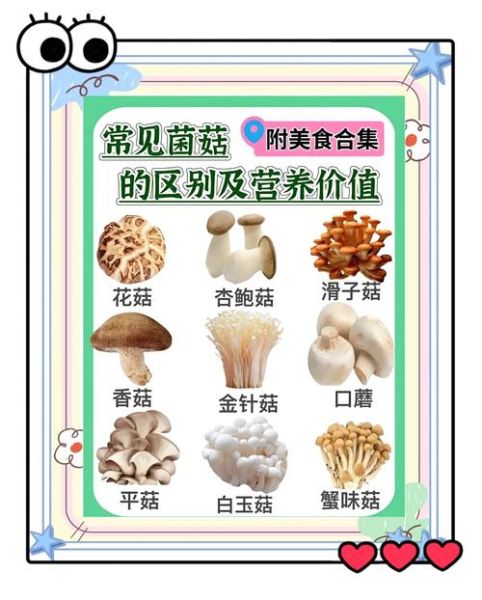 食用菌菌种怎么选_食用菌菌种有哪些-第3张图片-山城妙识 食用菌菌种怎么选_食用菌菌种有哪些-第3张图片-山城妙识