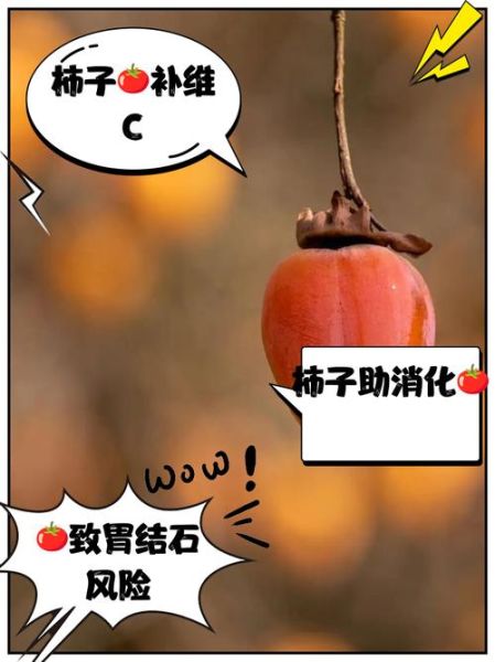 吃柿子有什么坏处_空腹吃柿子会结石吗-第1张图片-山城妙识