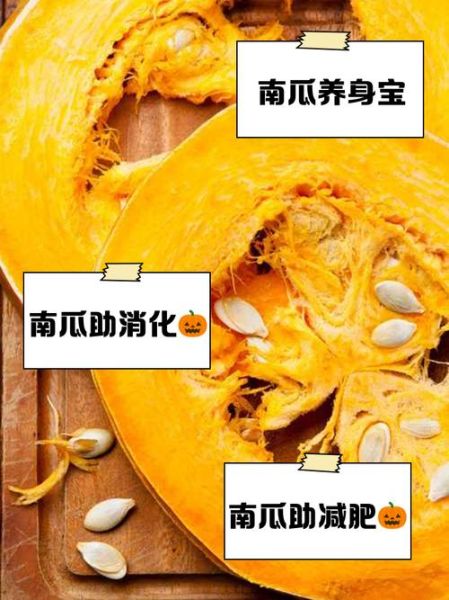 菜南瓜的营养价值_菜南瓜的功效与作用-第1张图片-山城妙识 菜南瓜的营养价值_菜南瓜的功效与作用-第1张图片-山城妙识
