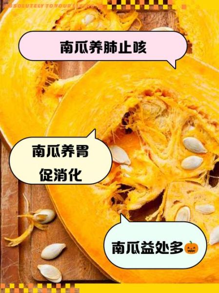 菜南瓜的营养价值_菜南瓜的功效与作用-第3张图片-山城妙识 菜南瓜的营养价值_菜南瓜的功效与作用-第3张图片-山城妙识