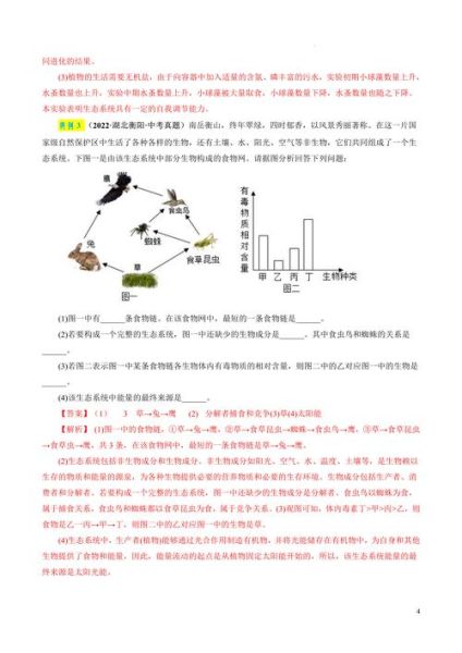食物链是怎么形成的_食物链的作用是什么-第2张图片-山城妙识