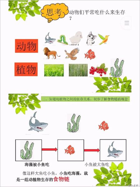 食物链是怎么形成的_食物链的作用是什么-第1张图片-山城妙识