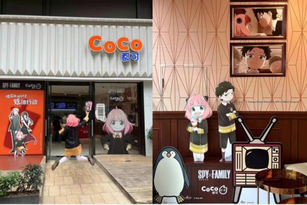 coco都可加盟费多少_加盟条件是什么-第1张图片-山城妙识