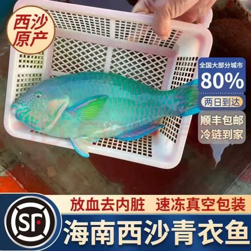 青衣鱼多少钱一斤_青衣鱼价格走势-第3张图片-山城妙识