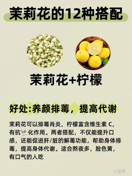 茉莉花茶的功效与作用_喝茉莉花茶有什么好处-第1张图片-山城妙识 茉莉花茶的功效与作用_喝茉莉花茶有什么好处-第1张图片-山城妙识