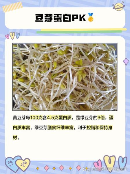 黄豆芽和绿豆芽的区别_哪个更有营养-第3张图片-山城妙识 黄豆芽和绿豆芽的区别_哪个更有营养-第3张图片-山城妙识