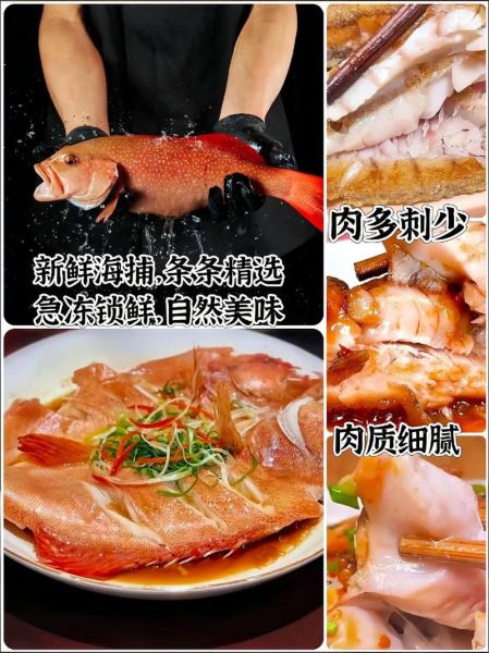 海红斑多少钱一斤_海红斑价格行情-第3张图片-山城妙识 海红斑多少钱一斤_海红斑价格行情-第3张图片-山城妙识