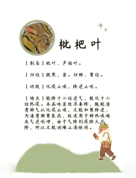 枇杷叶的功效与作用_枇杷叶怎么煮水止咳-第1张图片-山城妙识 枇杷叶的功效与作用_枇杷叶怎么煮水止咳-第1张图片-山城妙识