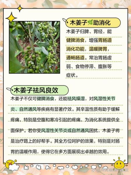 木姜子油副作用有哪些_木姜子油能吃吗-第2张图片-山城妙识 木姜子油副作用有哪些_木姜子油能吃吗-第2张图片-山城妙识