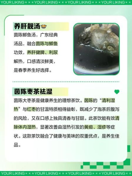 茵陈蒿汤方歌功效_茵陈蒿汤怎么喝-第3张图片-山城妙识 茵陈蒿汤方歌功效_茵陈蒿汤怎么喝-第3张图片-山城妙识