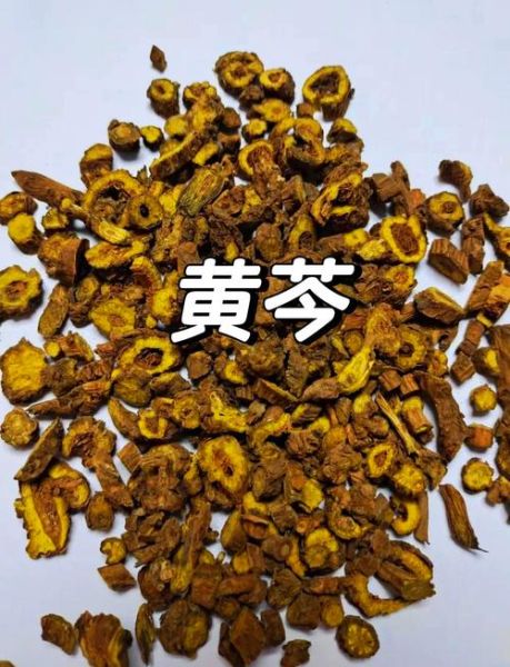 黄芩图片长什么样_黄芩真假如何辨别-第1张图片-山城妙识 黄芩图片长什么样_黄芩真假如何辨别-第1张图片-山城妙识