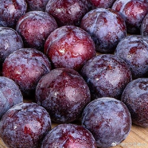 黑布林怎么算熟了_黑布林成熟判断方法-第2张图片-山城妙识 黑布林怎么算熟了_黑布林成熟判断方法-第2张图片-山城妙识