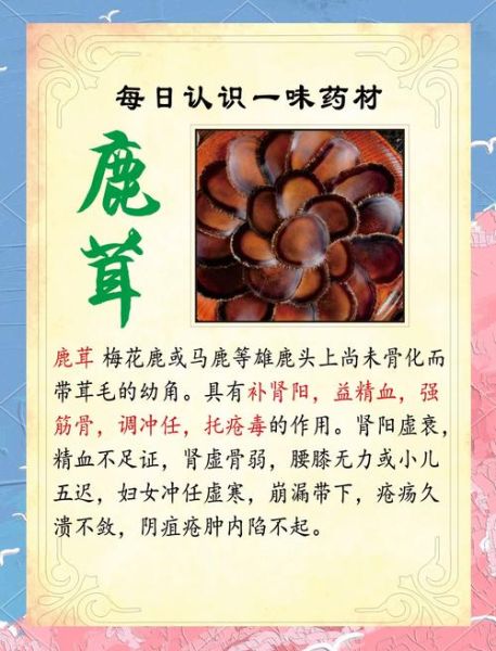 鹿茸的功效与作用_鹿茸怎么吃效果最好-第2张图片-山城妙识 鹿茸的功效与作用_鹿茸怎么吃效果最好-第2张图片-山城妙识