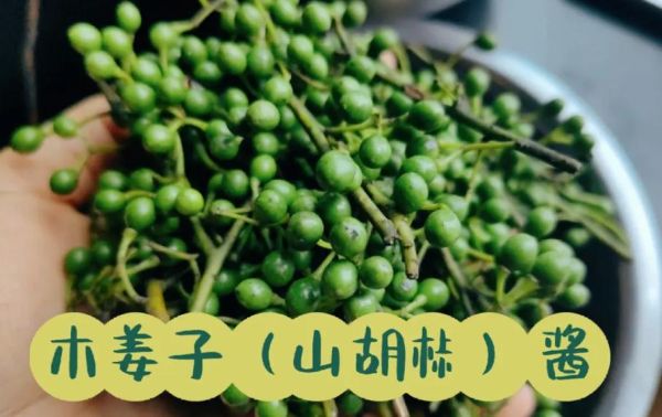 木姜子是什么_木姜子怎么吃-第3张图片-山城妙识