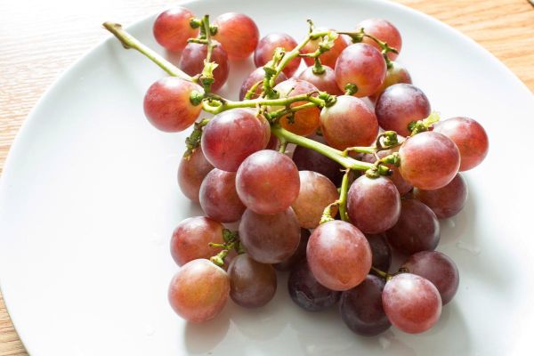 补肾的水果有哪些_男人肾虚吃什么水果好-第2张图片-山城妙识