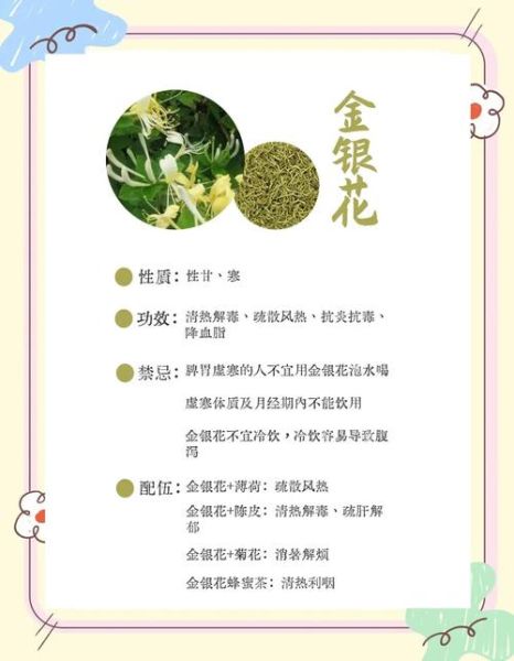 金银花功效与作用禁忌_哪些人不能吃金银花-第1张图片-山城妙识 金银花功效与作用禁忌_哪些人不能吃金银花-第1张图片-山城妙识