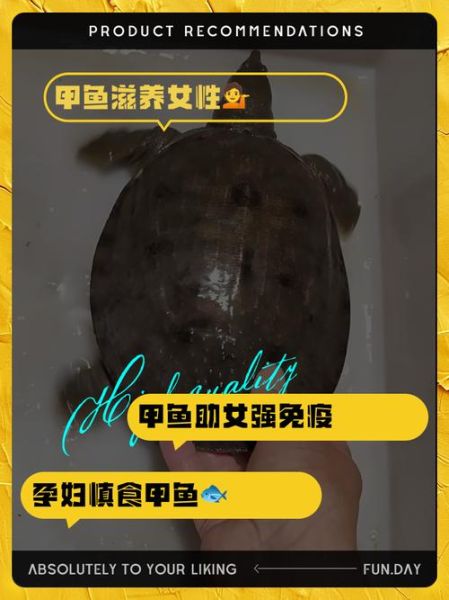 女人吃了甲鱼会很想要吗_甲鱼对女性欲望的影响-第1张图片-山城妙识 女人吃了甲鱼会很想要吗_甲鱼对女性欲望的影响-第1张图片-山城妙识