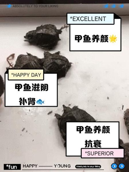 女人吃了甲鱼会很想要吗_甲鱼对女性欲望的影响-第2张图片-山城妙识 女人吃了甲鱼会很想要吗_甲鱼对女性欲望的影响-第2张图片-山城妙识