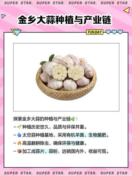 金乡大蒜价格今日行情_金乡大蒜多少钱一斤-第1张图片-山城妙识 金乡大蒜价格今日行情_金乡大蒜多少钱一斤-第1张图片-山城妙识