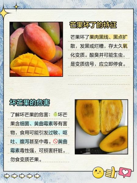 吃芒果的坏处有哪些_芒果吃多了会怎样-第3张图片-山城妙识 吃芒果的坏处有哪些_芒果吃多了会怎样-第3张图片-山城妙识