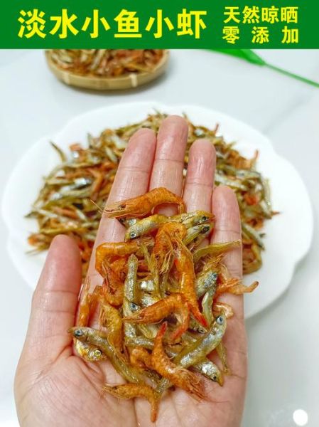 小鱼小虾吃什么食物_如何科学投喂-第2张图片-山城妙识