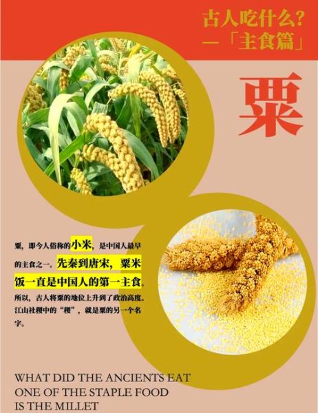 菽是指什么作物_菽的别名有哪些-第2张图片-山城妙识